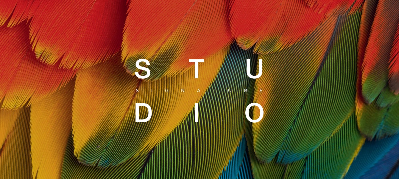 Signature Studio | Commercial Custom Flooring Design